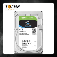 Seagate Skyhawk 8TB ST8000VX0022 3,5" 7200RPM 256 MB Hard disk fiyatı ...